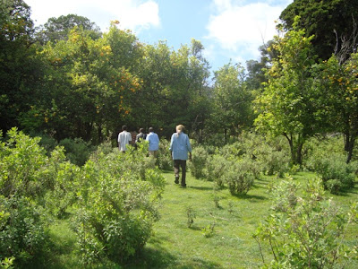 DÜNYA'NIN BÜTÜN GÜZELLİKLERİNİ KEŞFEDİN...: Erigabo (Erigavo ...