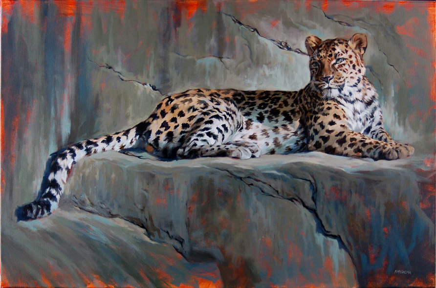 MIEDEMA STUDIO: Amur Leopard
