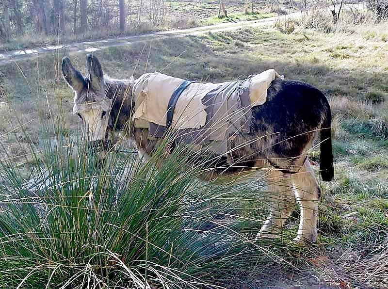 La Rioja de la A a la Z: diciembre 2017