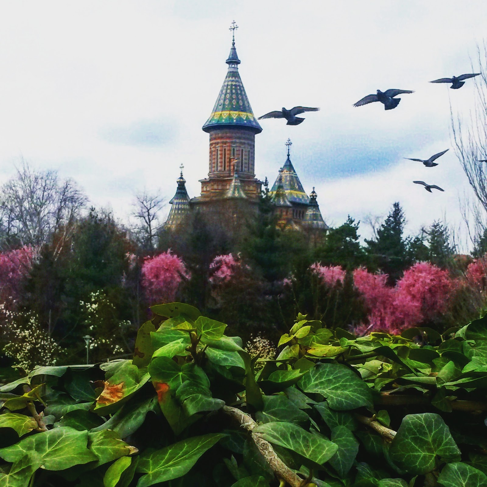 Vodič kroz Temišvar, Rumunija - šta posjetiti? - Putovanja za svakoga