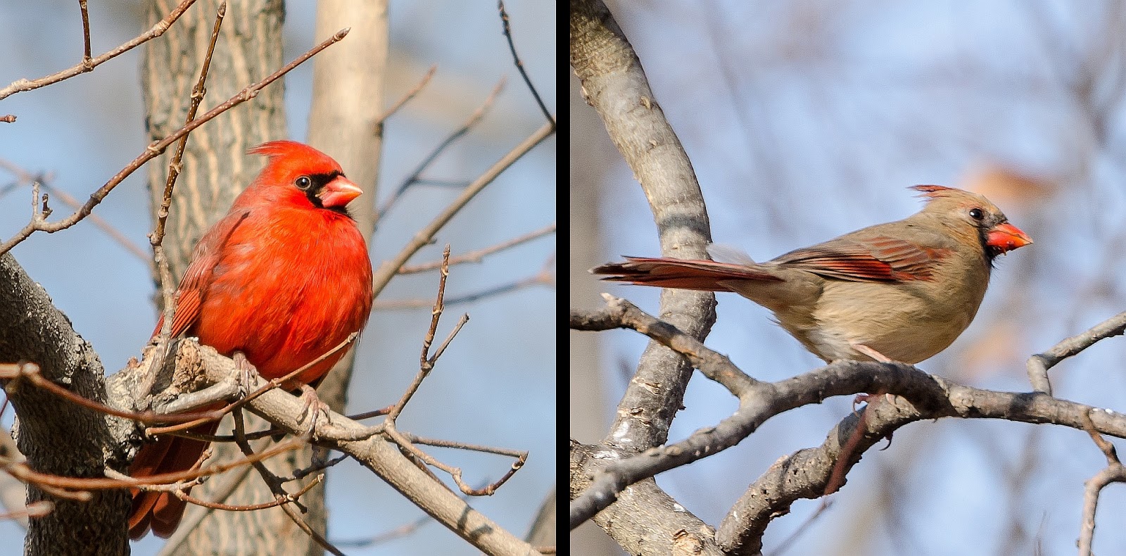 On the Subject of Nature: September 2015