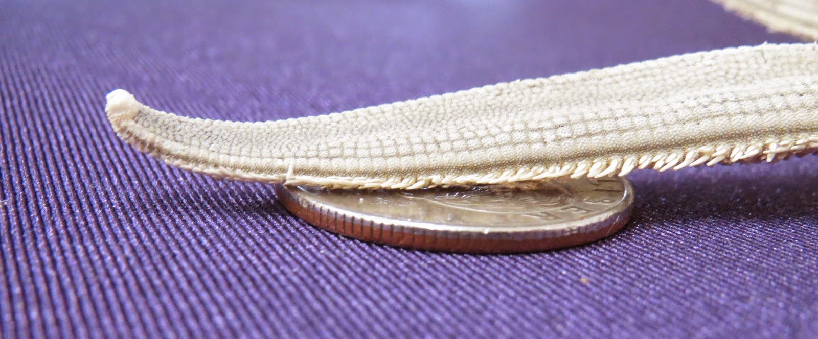 The Echinoblog: Learning about Luidia! 5 Things about The OTHER Sand Star!