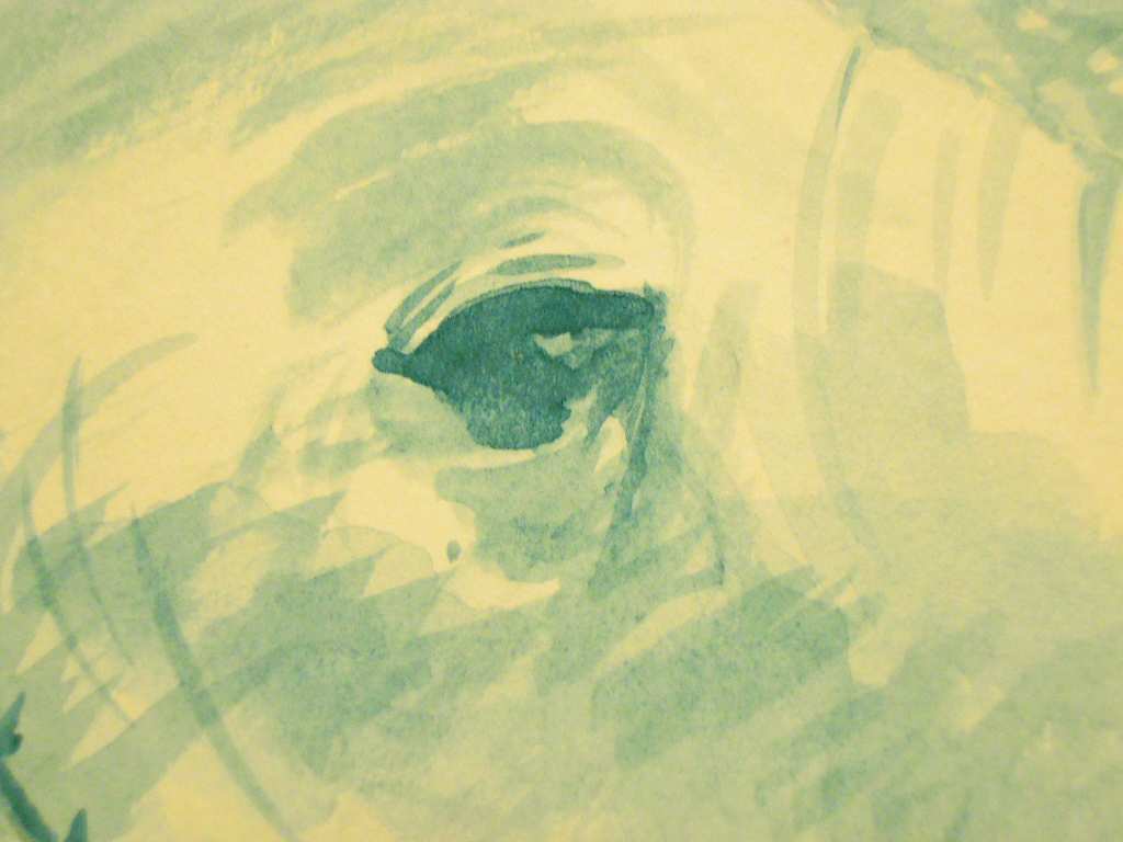 An Elephant a Day: Elephant No. 269: Verdaille