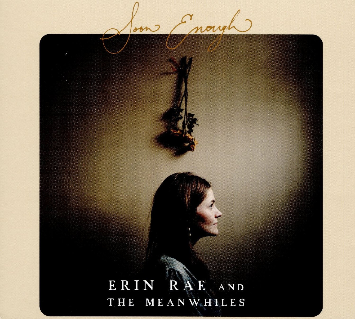 Sid Nuncius's Music Reviews: Erin Rae and The Meanwhiles - Soon Enough