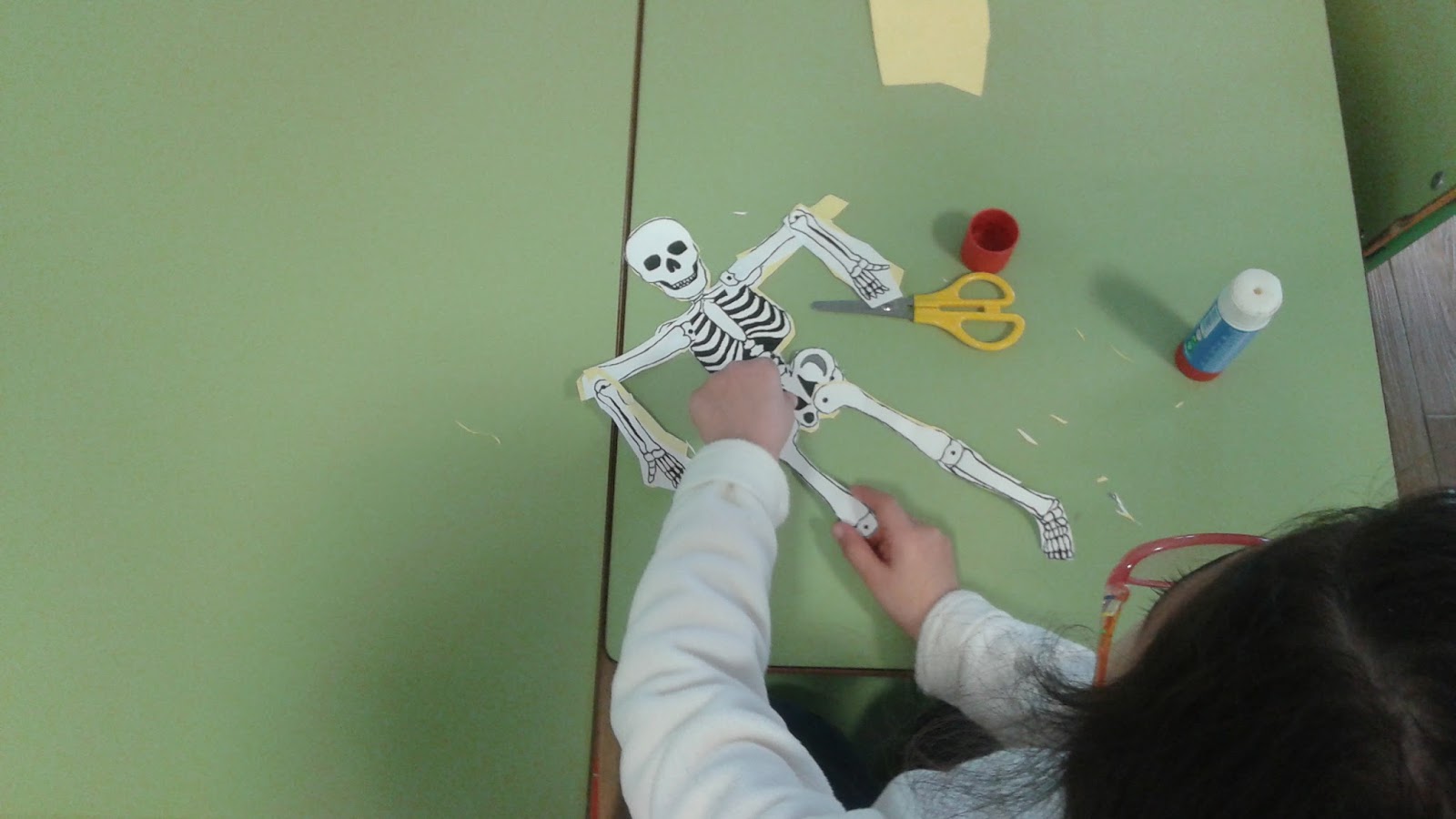 CEIP. AMADOR DE LOS RÍOS: 1st GRADE MAKING A SKELETON