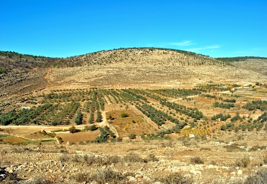 To Infinity And...In Theory: To Make A Desert Bloom: Israel Brings New ...