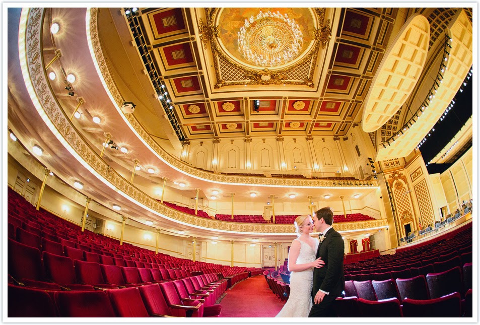 The Wedding Designer*Susan Foy