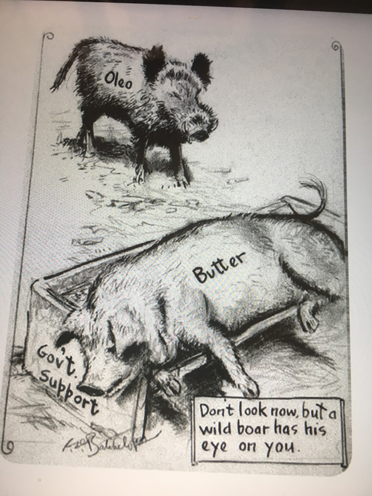 Lit and Life: Butter: A Rich History by Elaine Khosrova