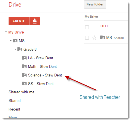 The Tech Curve: Digital Portfolio System
