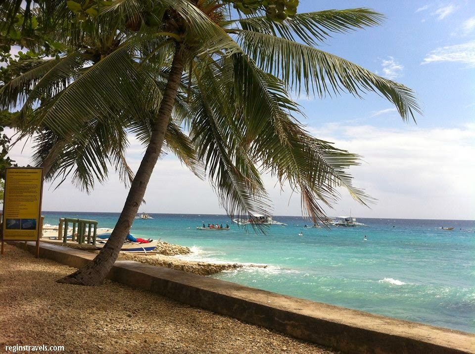 Regin's Travels: Oslob, Cebu, Philippines: More than just whalesharks