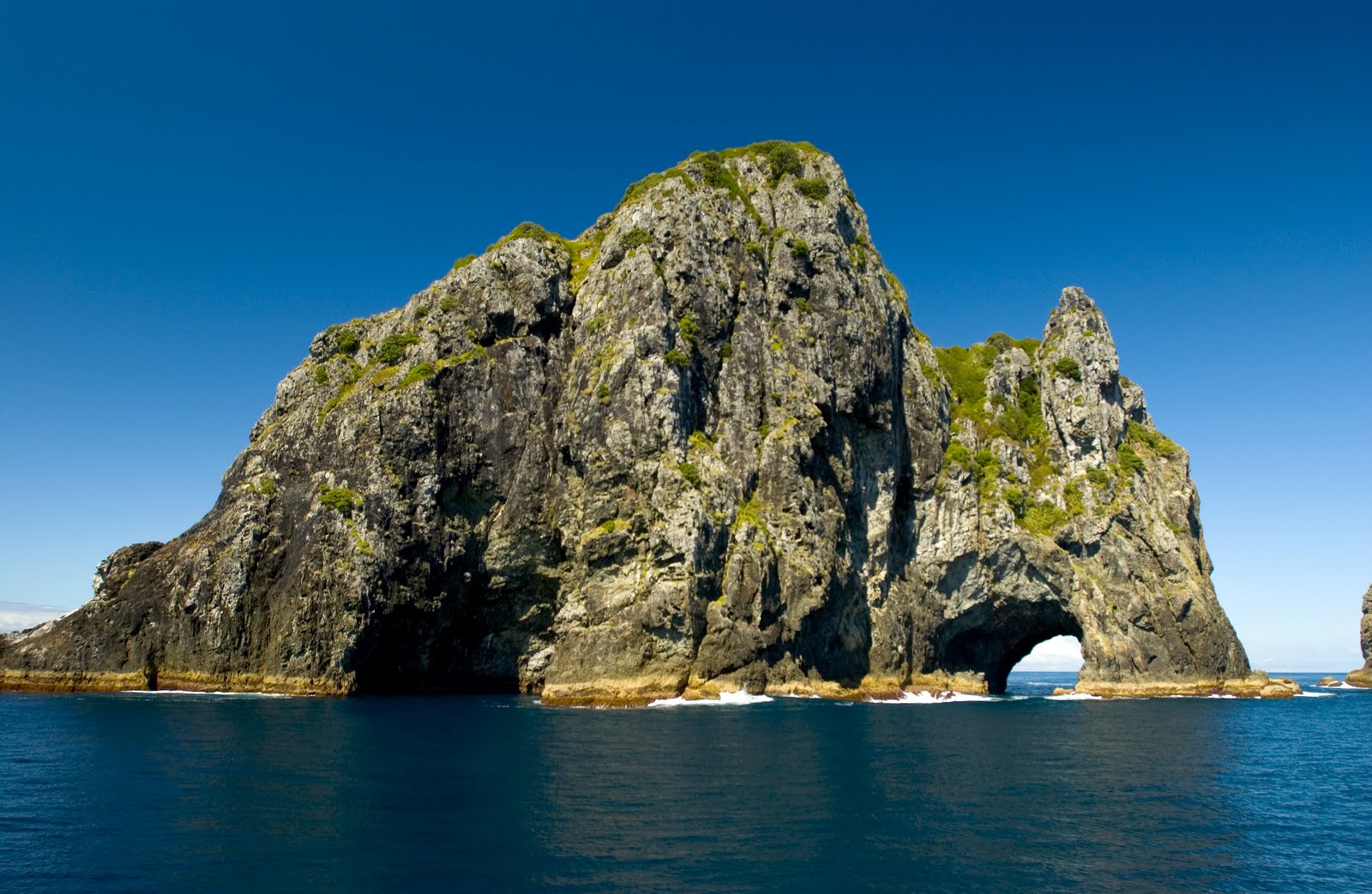 An Adventure in New Zealand: Paihai