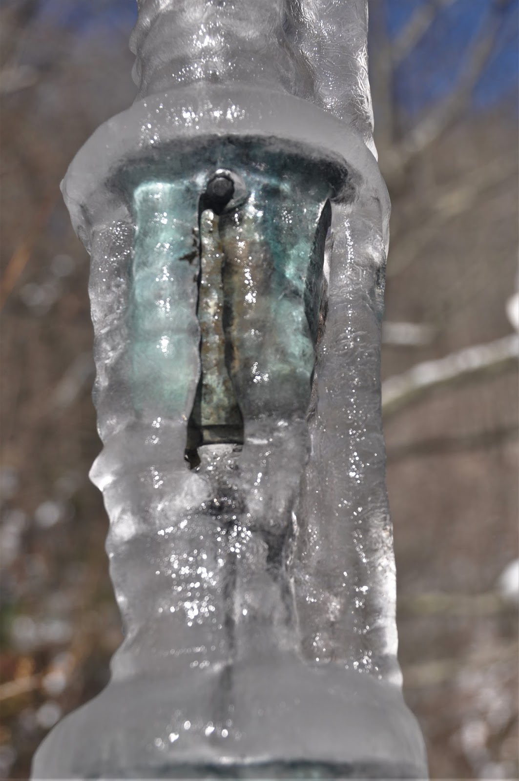 Vicki Lane Mysteries: Frozen Motion