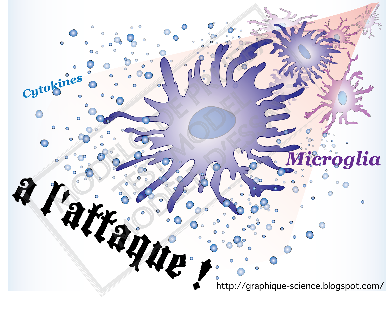 Graphique Science (Chile): glia