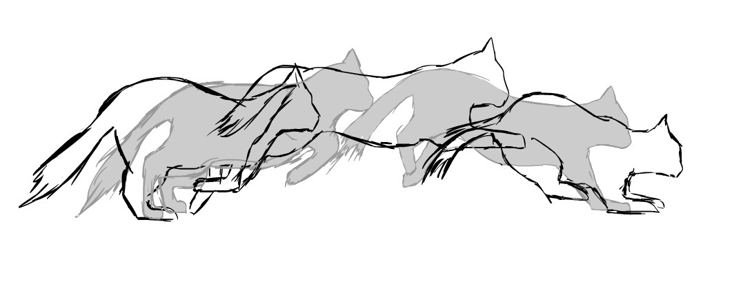 Laura Ireland's Animation Blog...