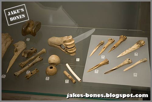 Half term trips: The National Museum of Scotland : Jake's Bones