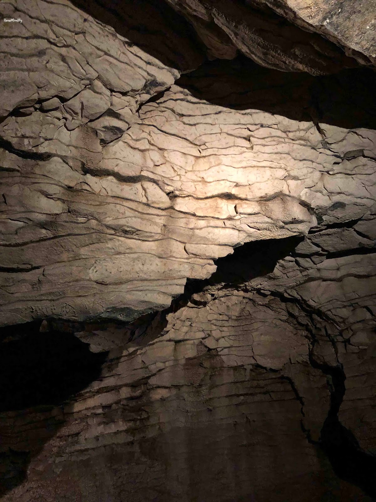 Hawaii Mom Blog: Visit New Zealand: Ruakuri Cave