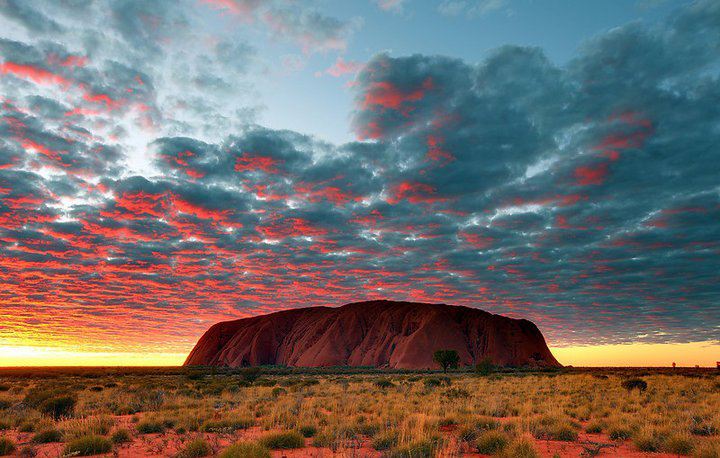 Uluru - Australia (Ayers Rock) | Animal Photo