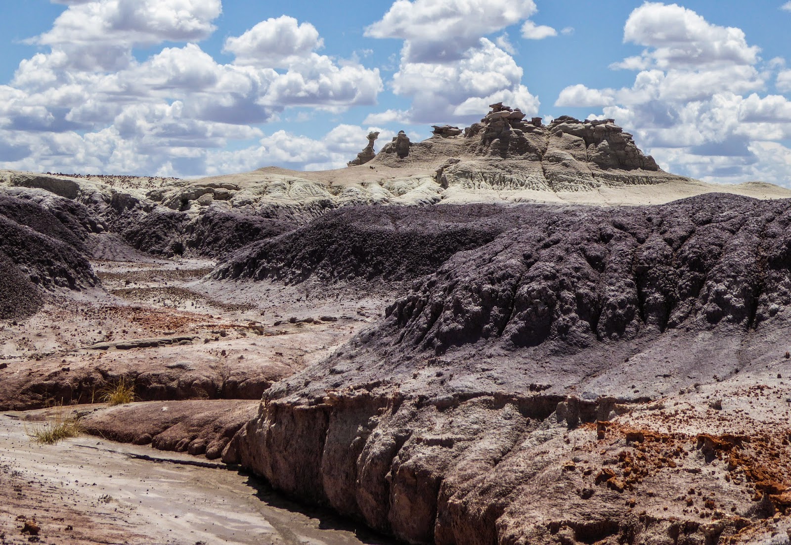 cruisingat60: And lived to tell about it