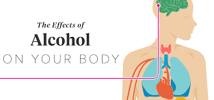 ACTION OF ALCOHOL ON INTERNAL ORGANS
