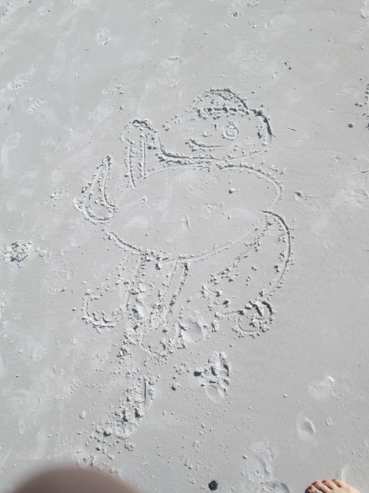 Sweeneyville: Seagull....PUNCH!