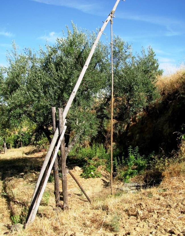 Folhas soltas: Picota