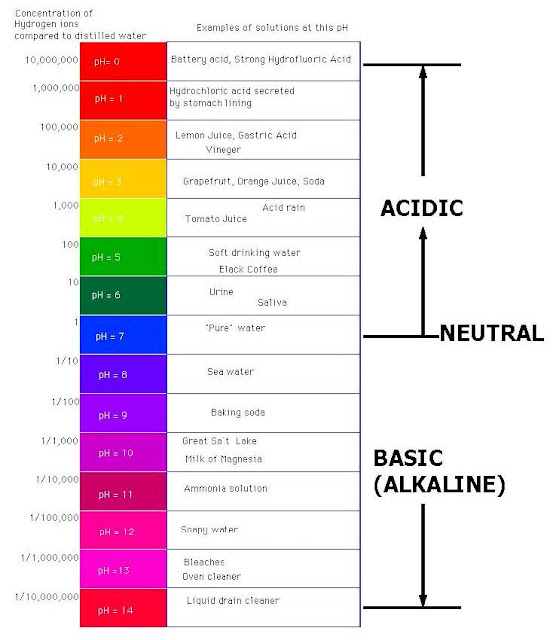 Arrhenius Acid and Base theory and pH,pOH and the pH scale