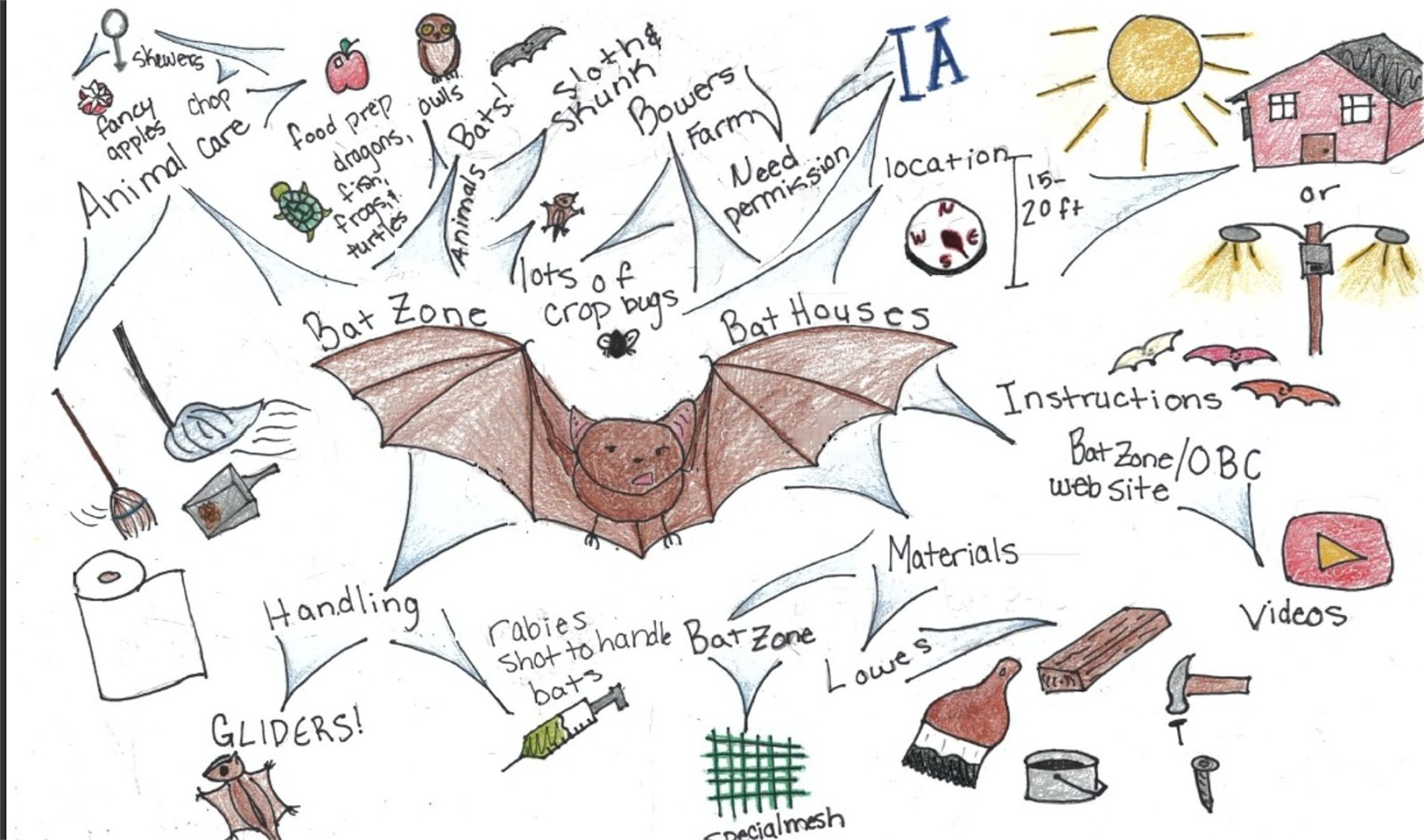 The Bat House Project: Mind Map Differences