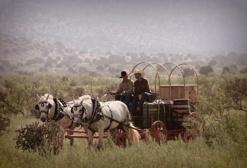 Cowboys and Chuckwagon Cooking : Chuckwagon Cooking "CONTEST"