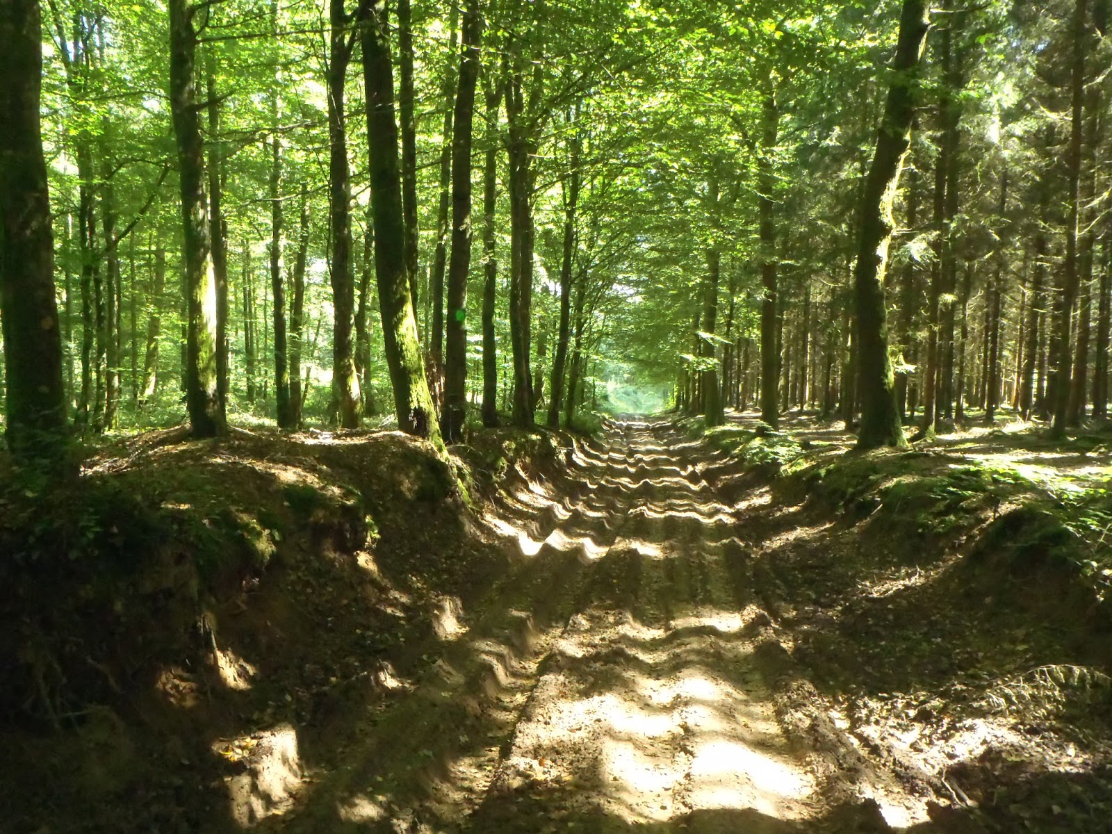 rando sac au dos - par Bleausard 77: Randonnée Le Plus Loin Possible ...