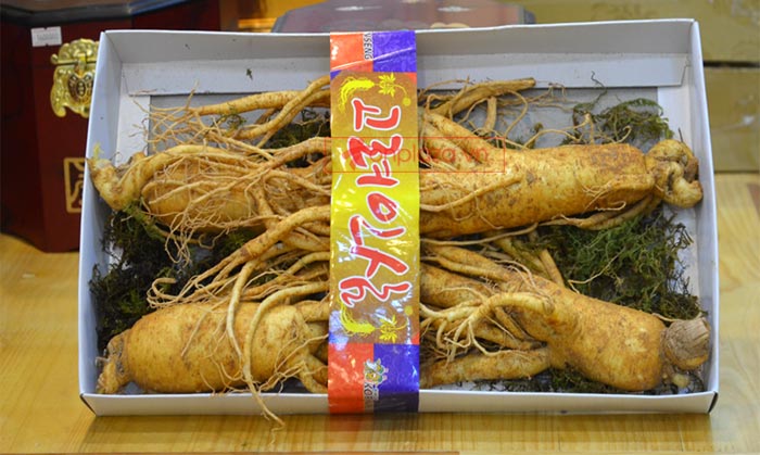 Phương pháp phân biệt nhân sâm Hàn Quốc tiện lợi nhất