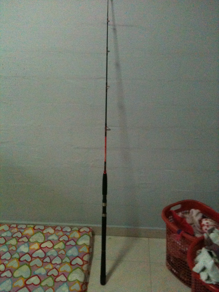 Fishing Heaven: Eupro Hammer II Jig Boat Rod