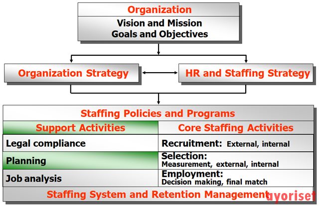 Human Resources Planning Staffing Organizations Model