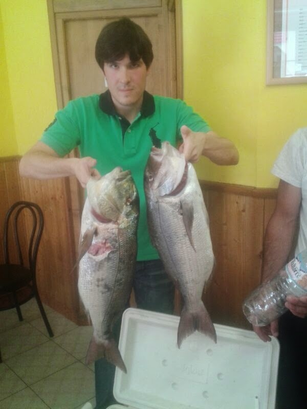 BuscaPesca: PESCA DE GRANDES PECES, DENTONES EN CANTABRIA