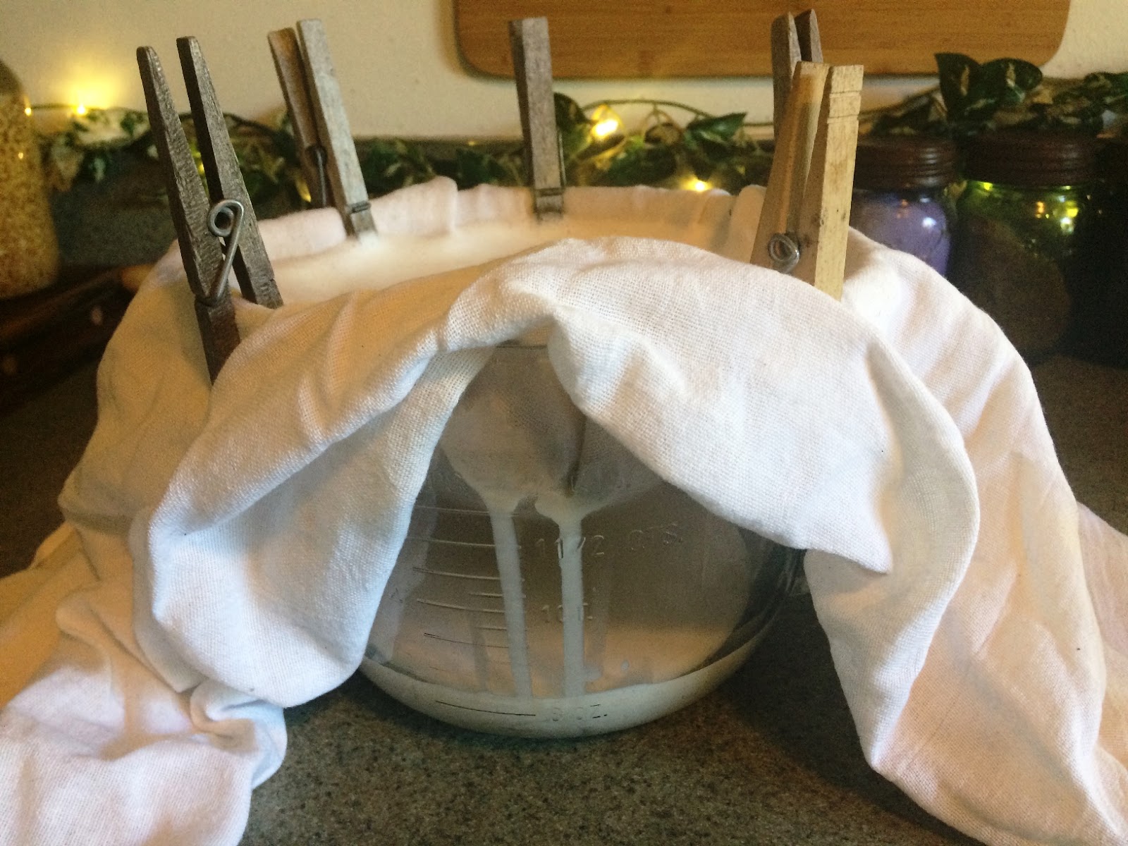 Make Your Own Organic Nut Milk