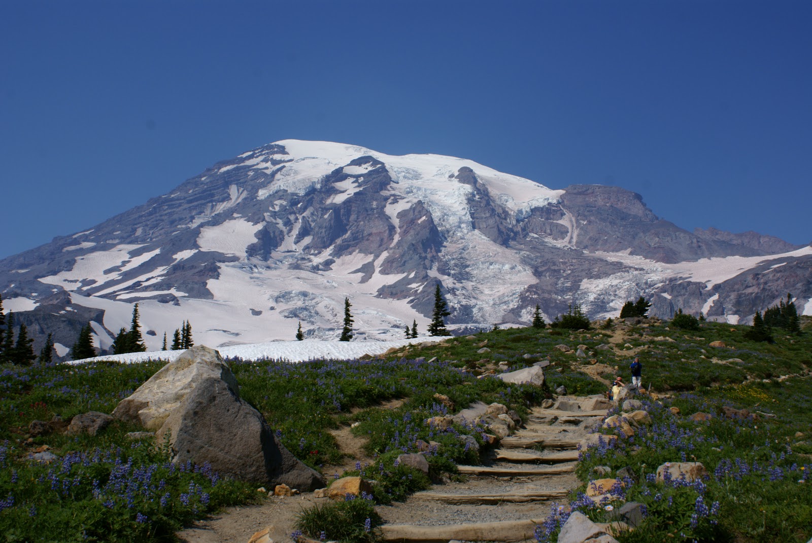 Summit: Mt. Rainier National Park, Skyline Loop Trail 9/11/2011