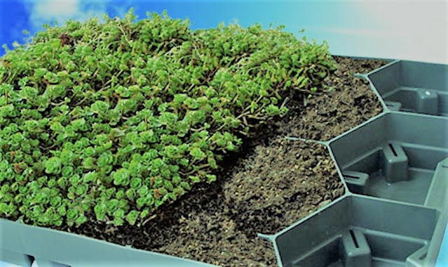 2020 SUSTENTABILIDAD: Eco Cubiertas vuelca su experiencia internacional ...