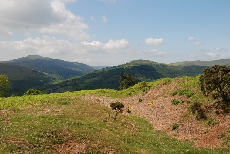 Henrietta Hobby in Europe: June 2012