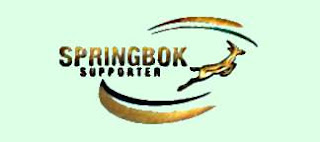 Pessimist Incarnate: Springbok Rugby supporter shoes