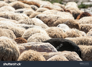 Per un mondo Migliore - aiutiamoci a renderlo migliore : Possiamo ...