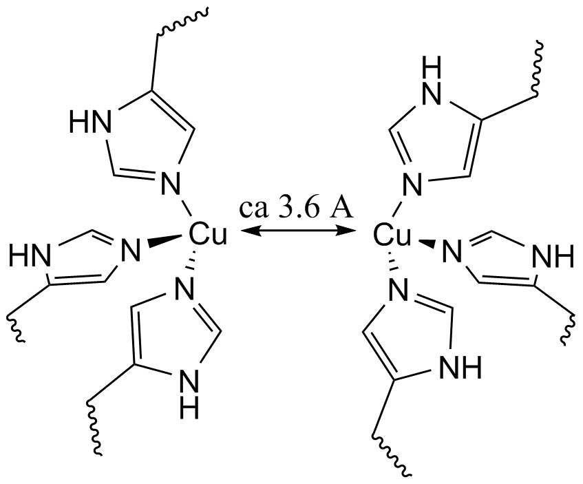 Biocoordination Chemistry: Oxygen Transport