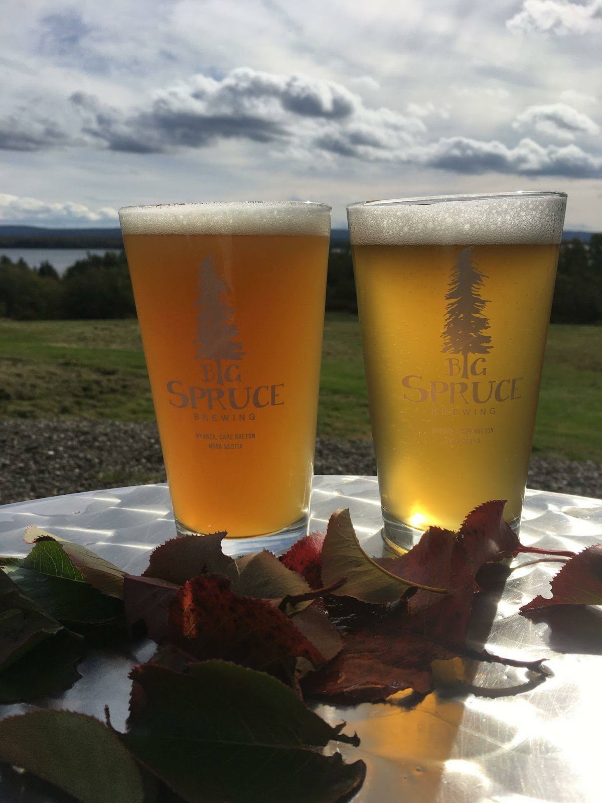 Maritime Beer Report: Big Spruce Brewing Drops a New IPA and Wit
