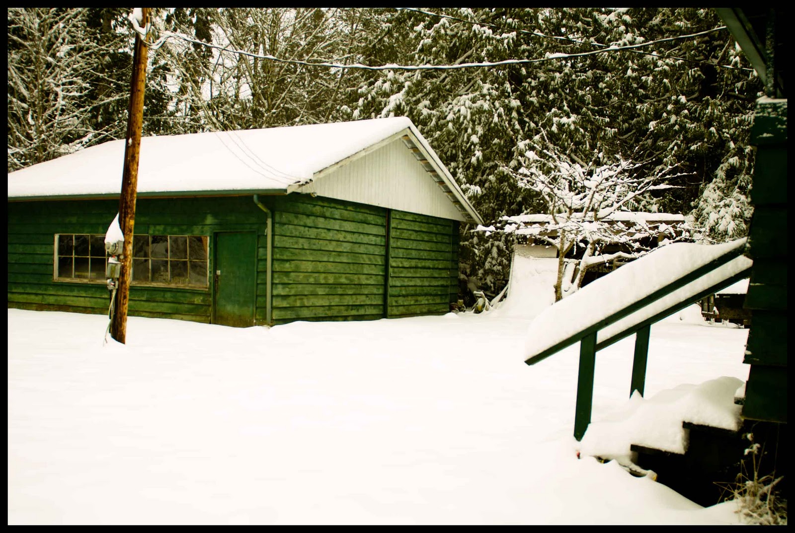 Mike's Blog and Photos