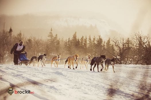 Live the Adventure: Copper Dog 150 Sled Dog Race