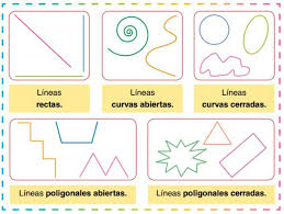 La clase de Marta: LÍNEAS RECTAS, CURVAS Y POLIGONALES