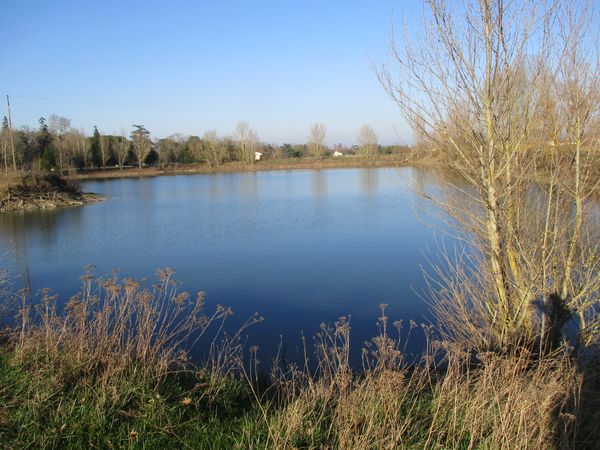 Sud-ouest Toulousain Randonnées: LONGAGES : Lac de la Linde