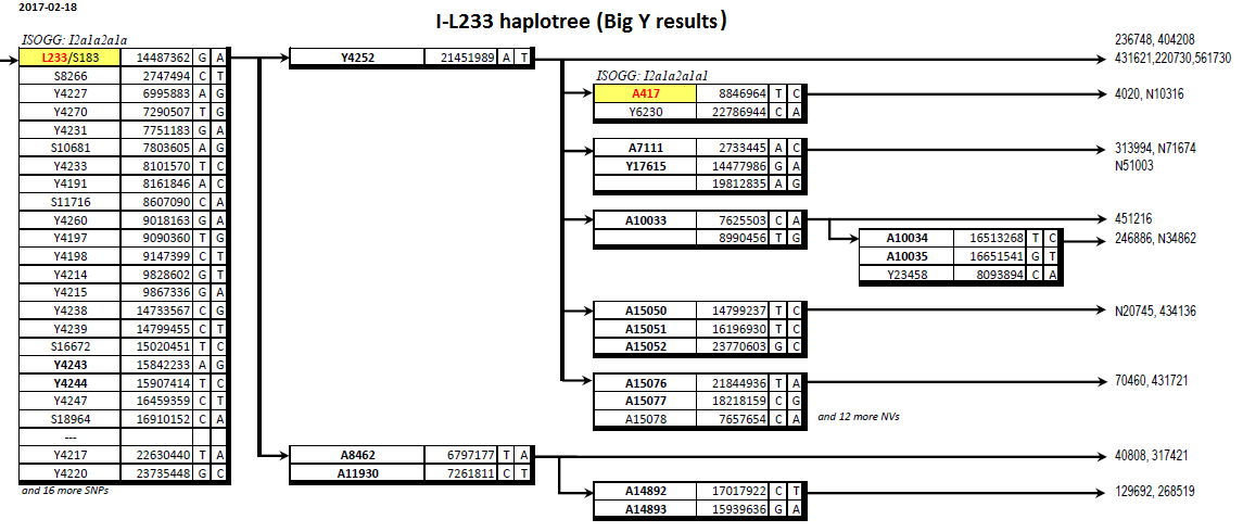 I-P37.2 haplogroup research: February 2017 draft tree for I-L233 "Western"