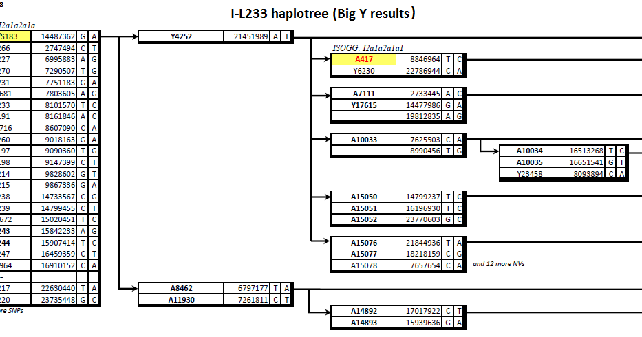 I-P37.2 haplogroup research: February 2017 draft tree for I-L233 "Western"
