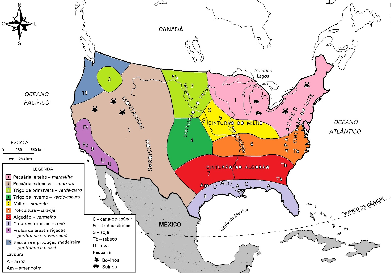 Geografia Fundamental: Atividade 8º Ano - Estados Unidos da América