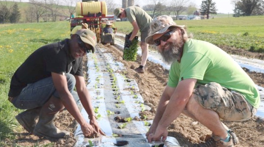 PA Environment Digest Blog: Rodale Institute Veterans Organic Farming ...