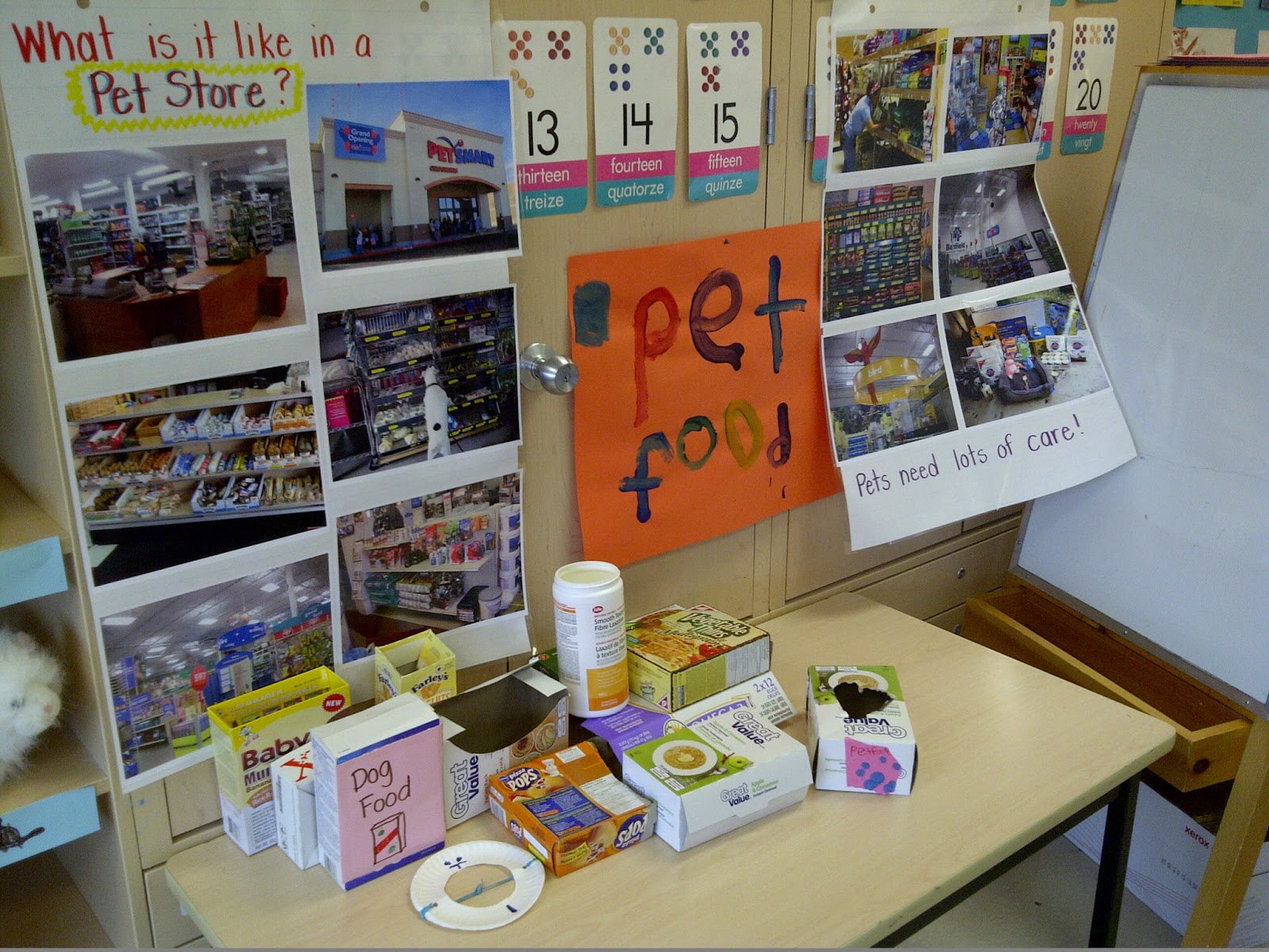 Mr. Wilkins' Kindergarten: The Hewson Pet Shop (my last one, at Hewson ...